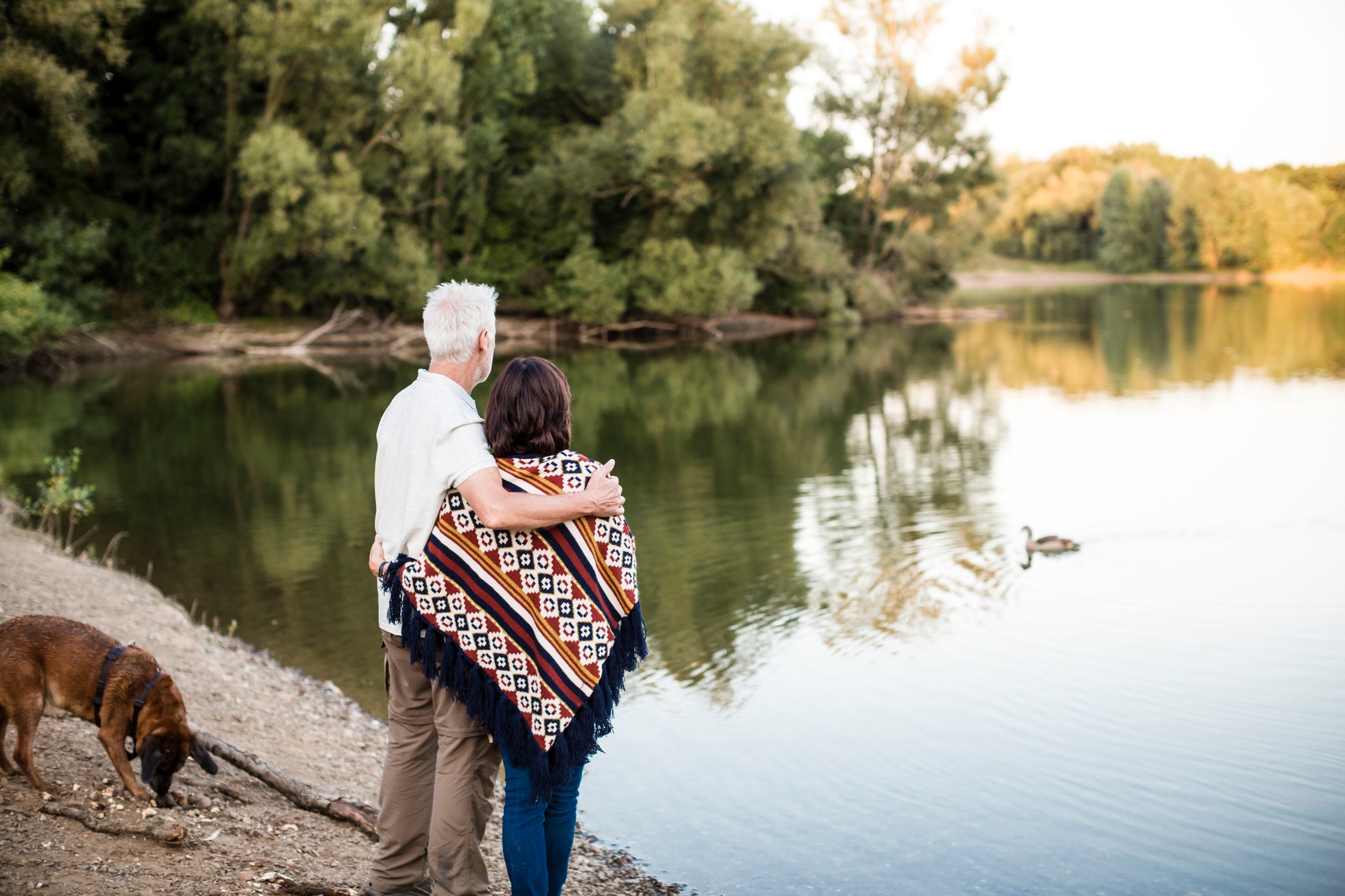 Uncover the Best Amenities at Prado Regional Park For Camping