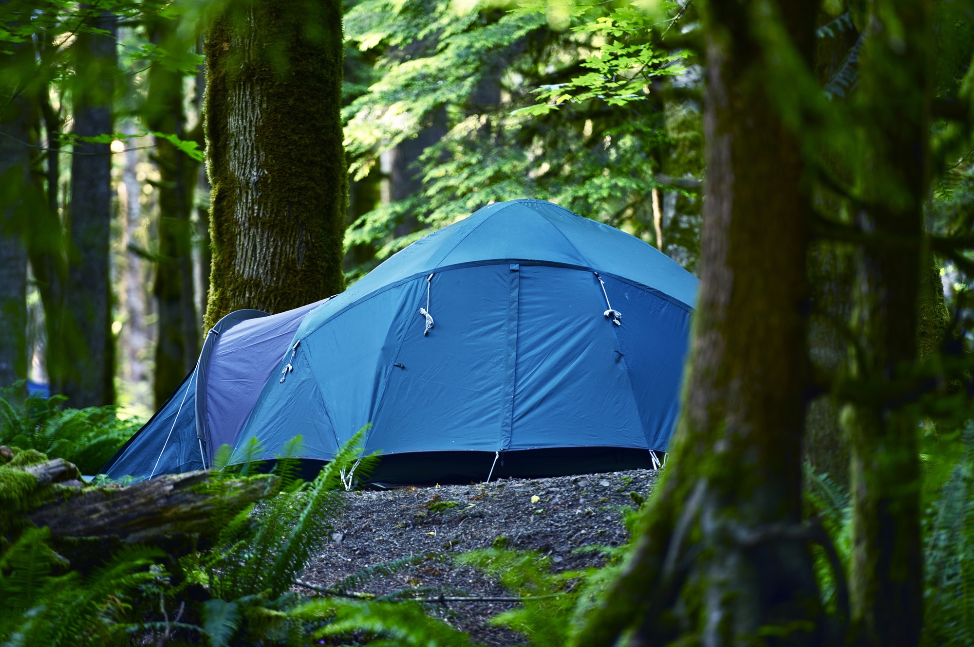 10 Person Tent for Camping: Top Guide to Finding the Best Tent